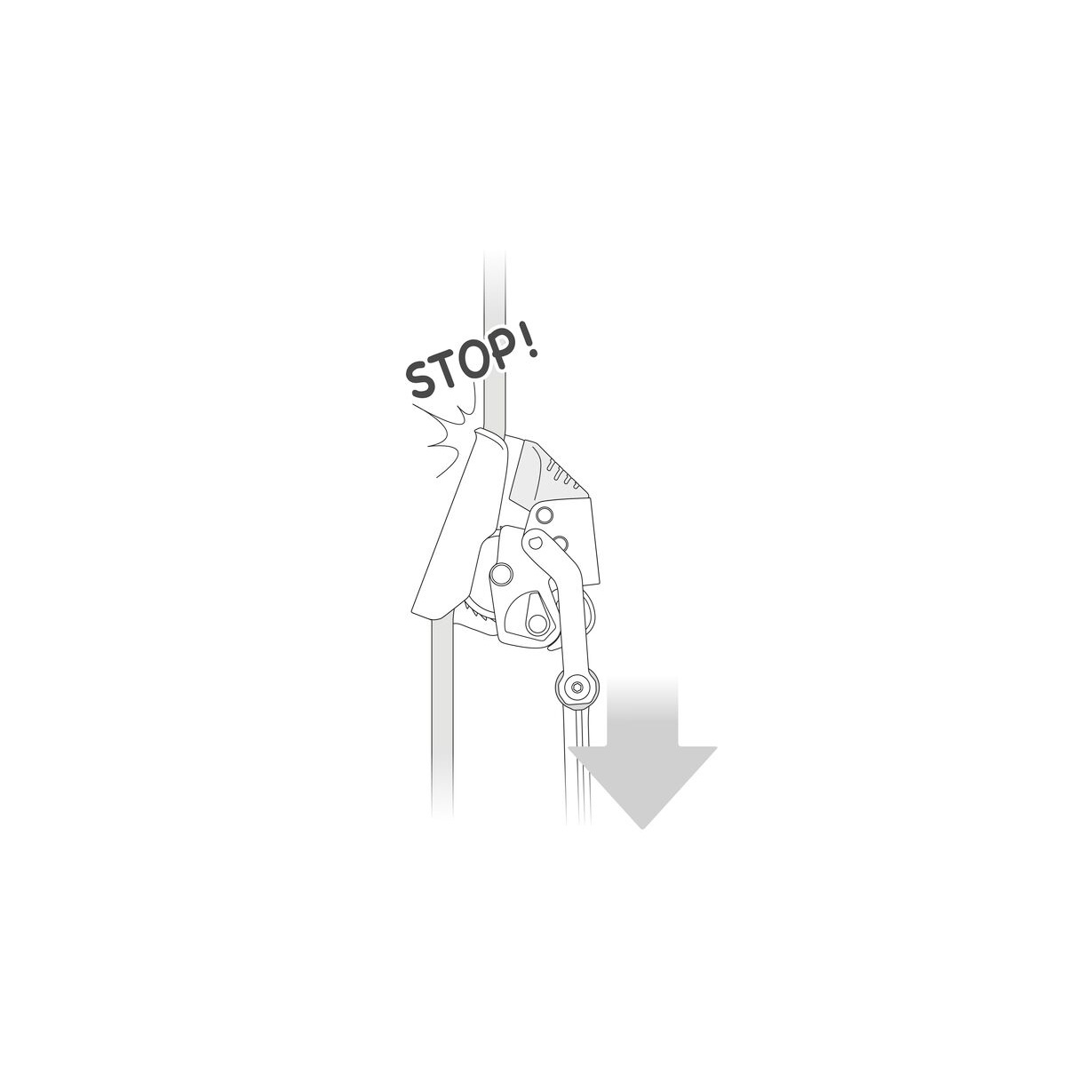 Petzl ASAP LOCK Mobile Fall Arrester | For the Best in Rope Access ...